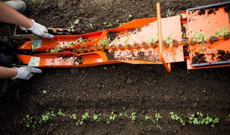 Transplant Paper Pots / Paper Chain Pots – Baystate Organic Certifiers